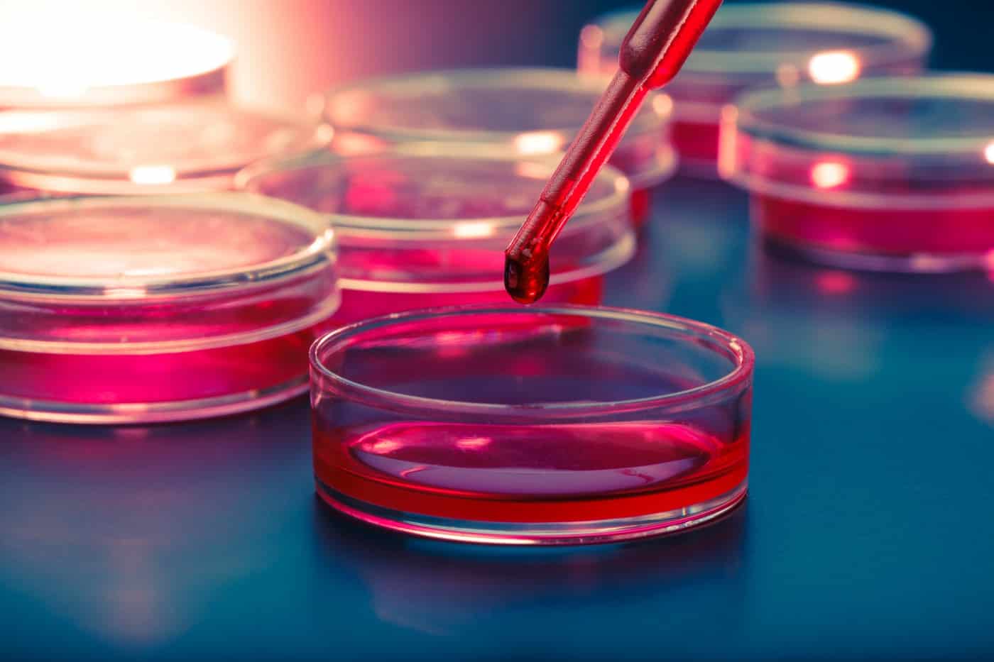 5 Must Know Facts About Stem Cell Technology - Lifegag