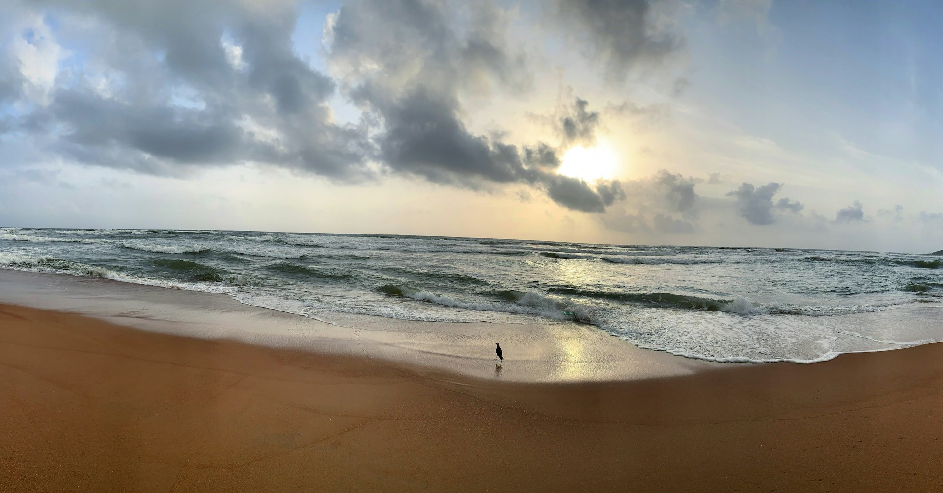 80+ Best Caption for Goa Trip to Make Your Instagram Shine - Lifegag